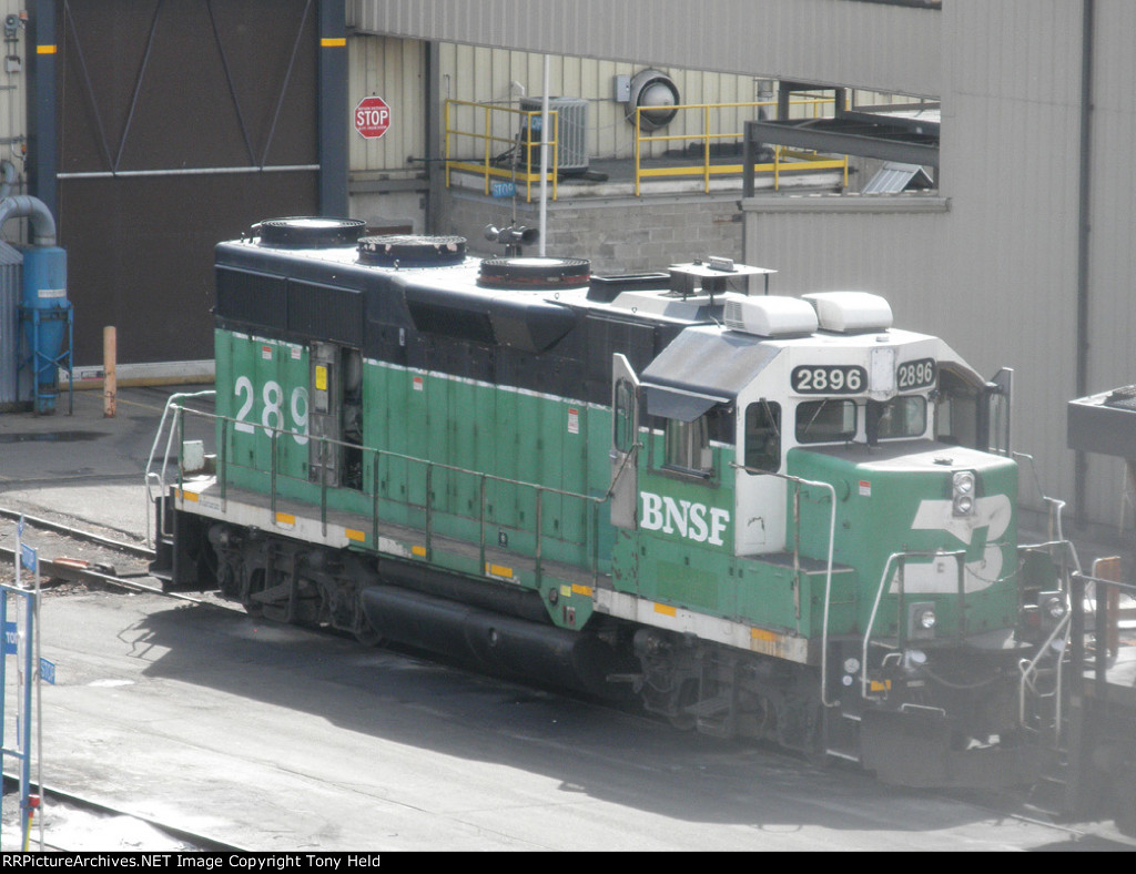 Cascade Green Classic